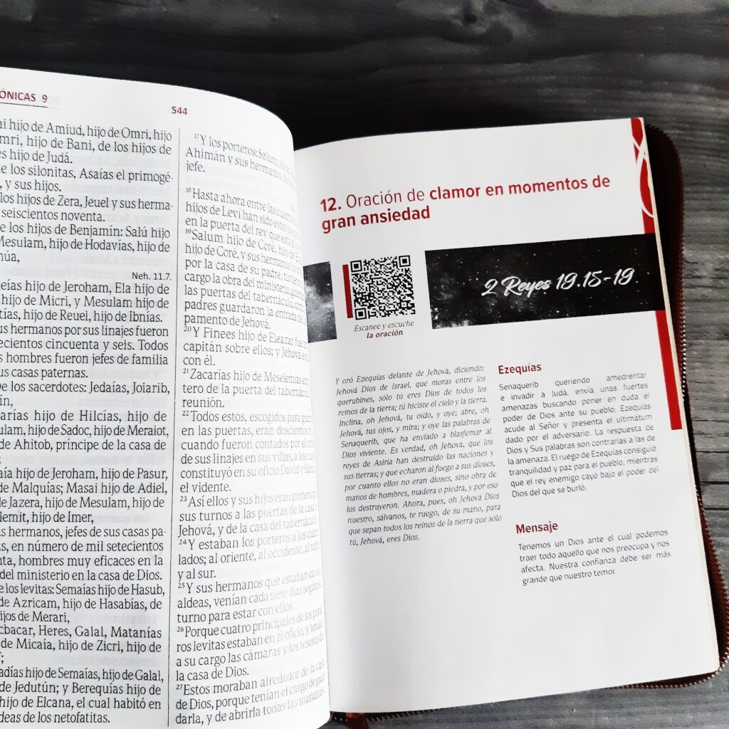 Biblia De Oraciones Letra Grande Rosado Gris Reina Valera 1960 - Libreria 247