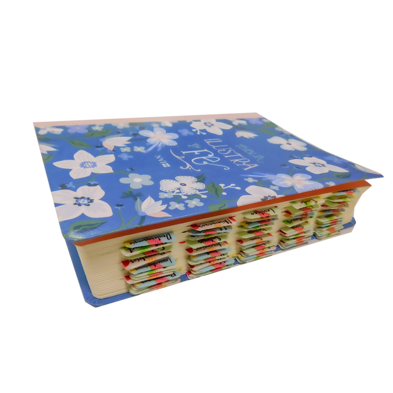 Índice para Biblia Adhesivo / Tabs para Biblias / STICKERS - Libreria 247